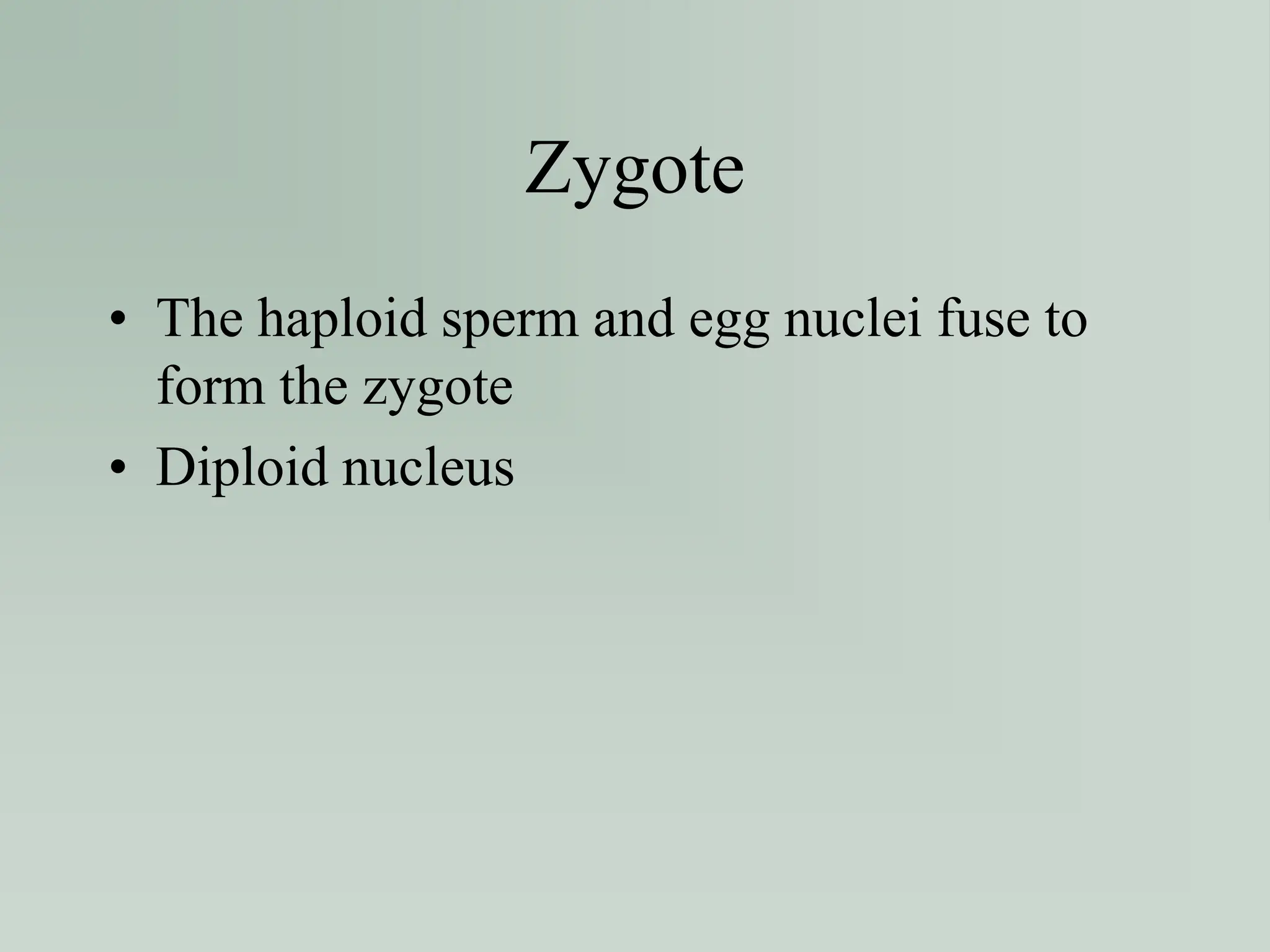 Study of Structure of Gametes in Sea urchin (1).pptx