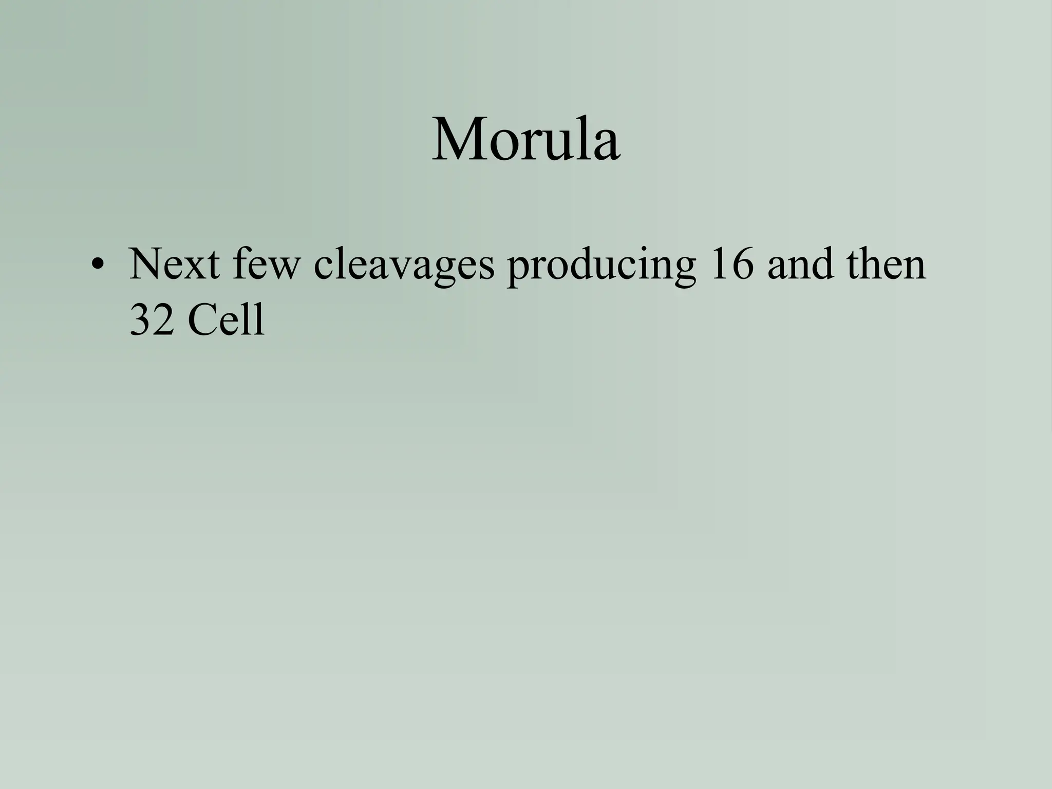 Study of Structure of Gametes in Sea urchin (1).pptx