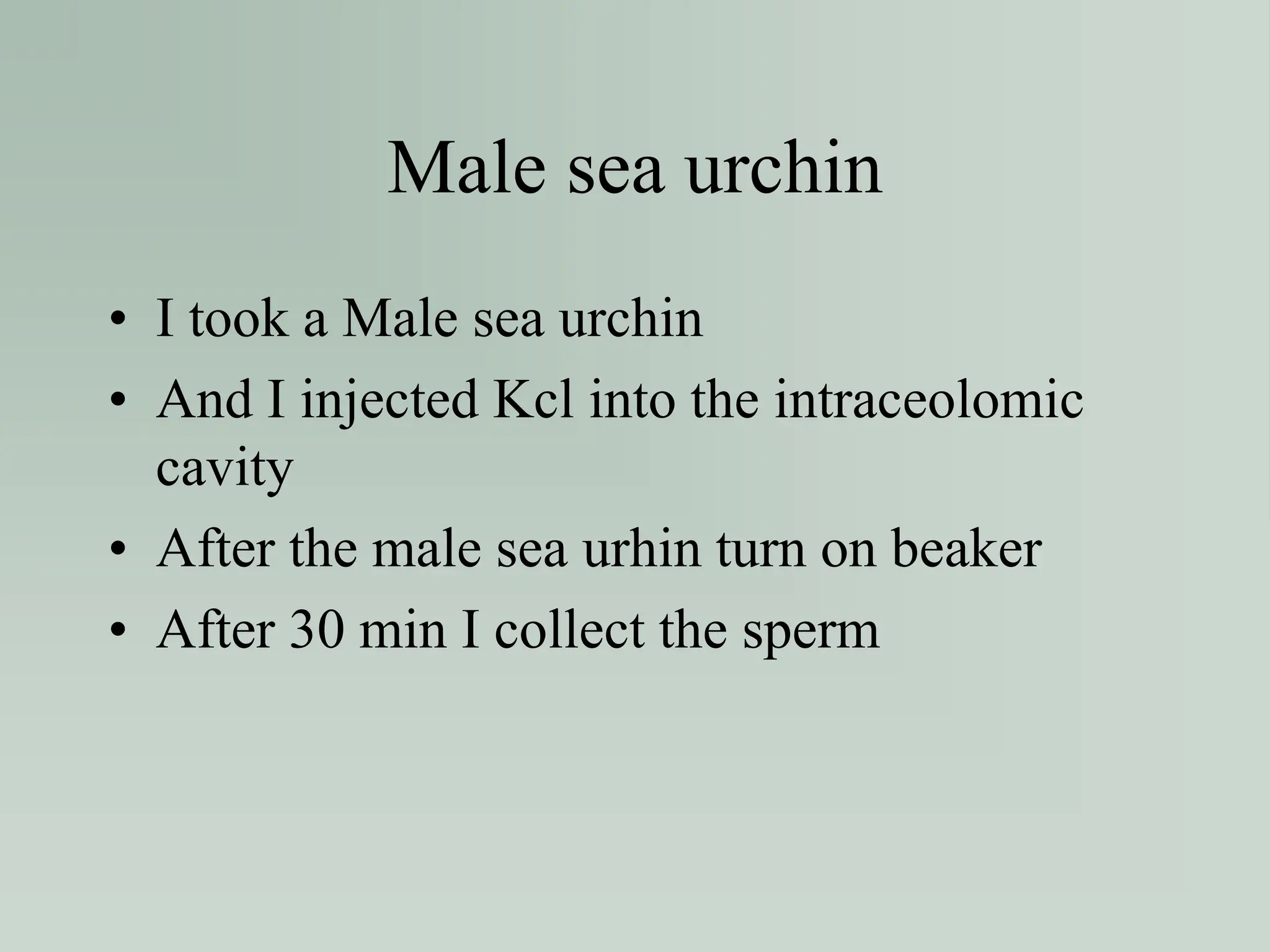 Study of Structure of Gametes in Sea urchin (1).pptx