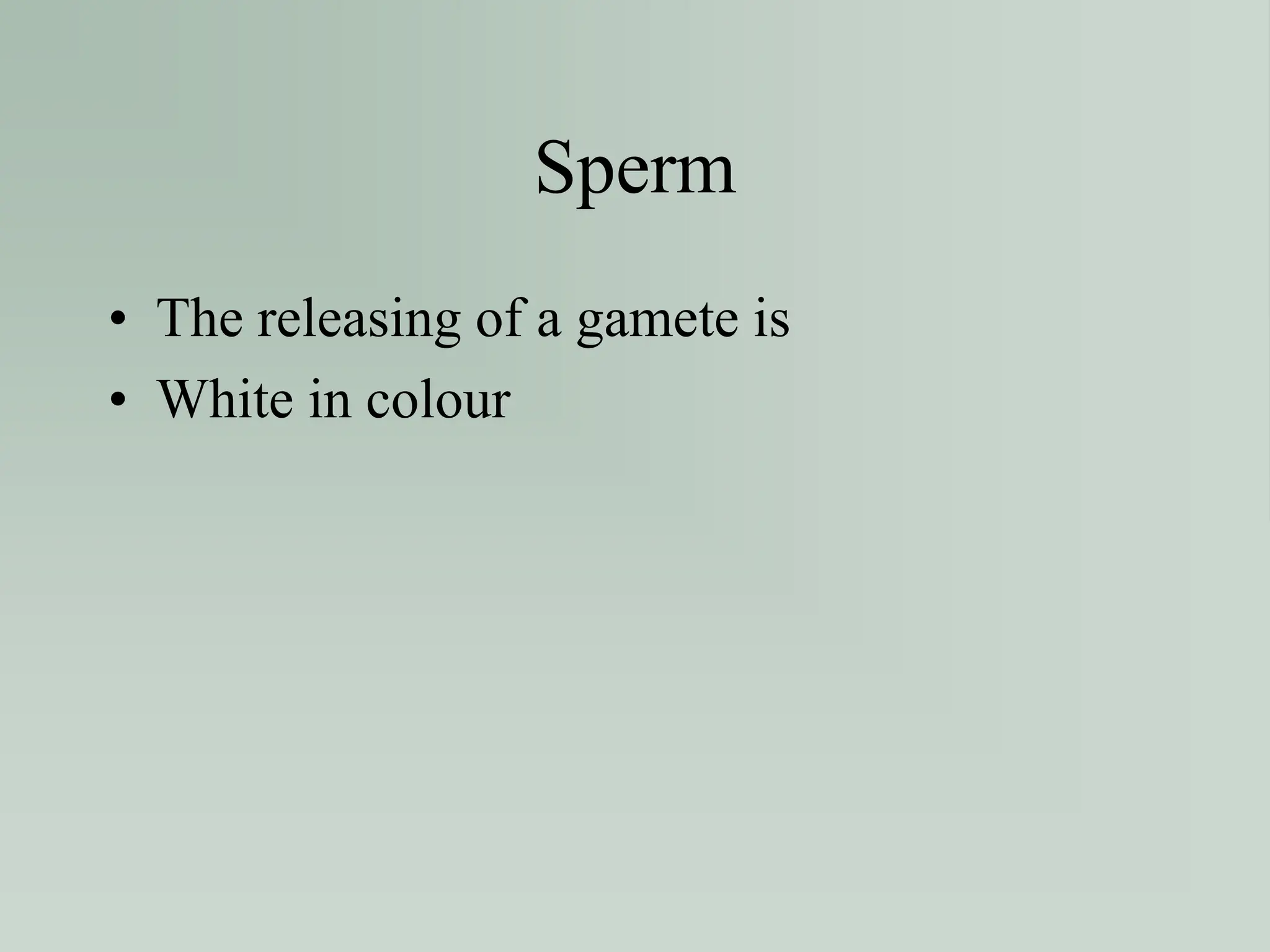 Study of Structure of Gametes in Sea urchin (1).pptx