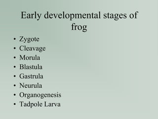 Study of Structure of Gametes in Sea urchin (1).pptx