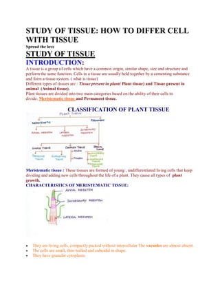 STUDY OF TISSUE.pdf