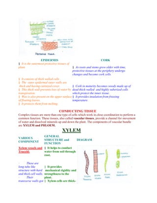 STUDY OF TISSUE.pdf