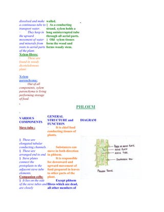 STUDY OF TISSUE.pdf