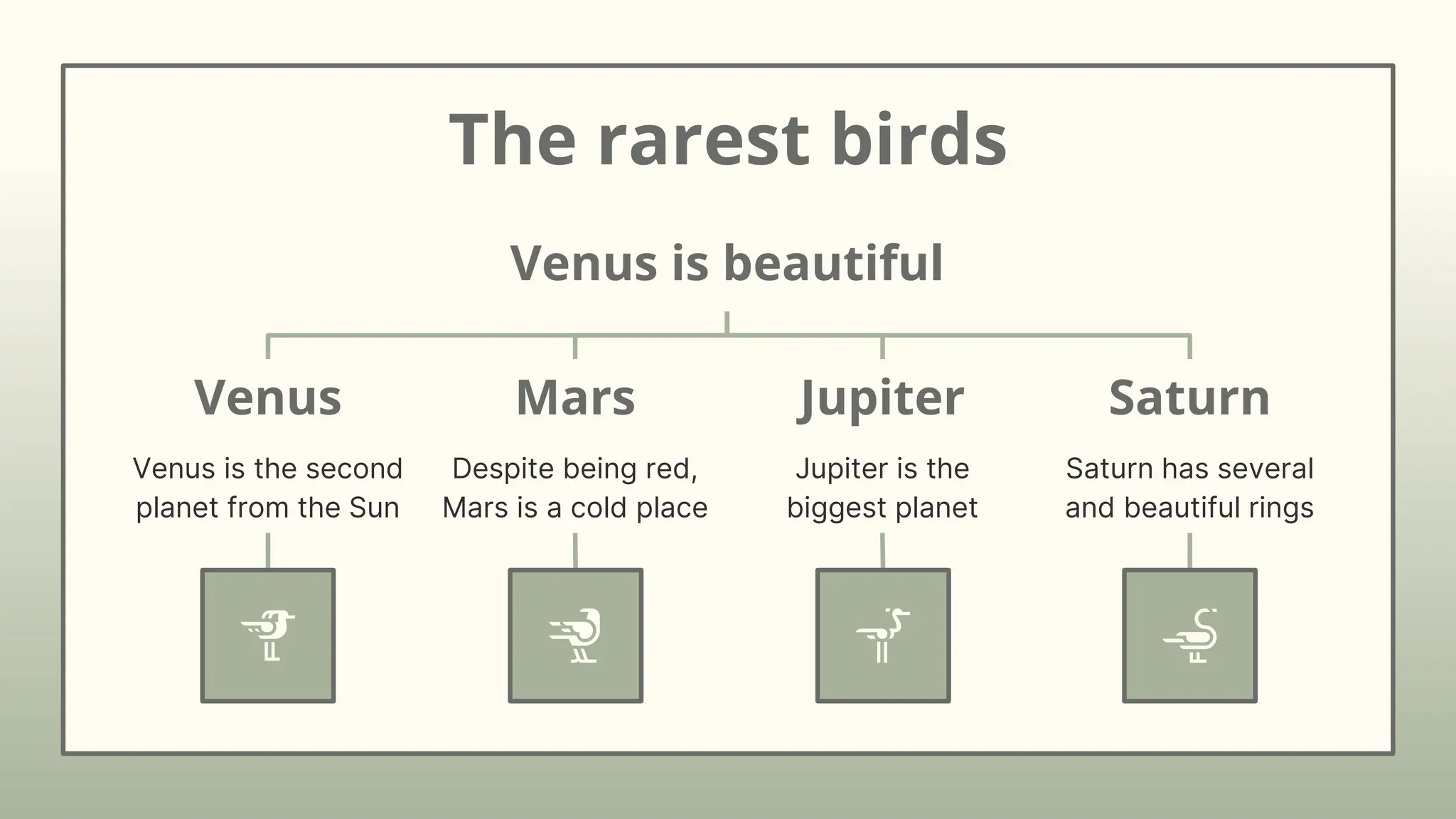 Study of Types of Birds for College_ Ornithology by Slidesgo.pptx