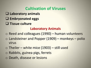 STUDY OF VIRUSES.pptx