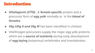 Study of Vitellogenin Motif | PPT
