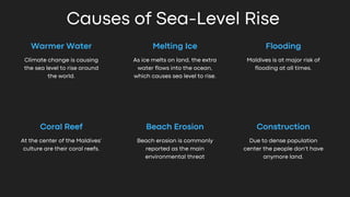 STUDY ON GLOBAL SEA LEVEL RISE.pdf