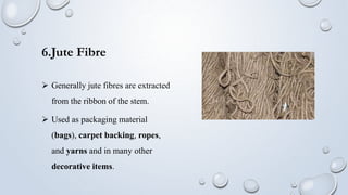 Natural fibres composites | PPTX