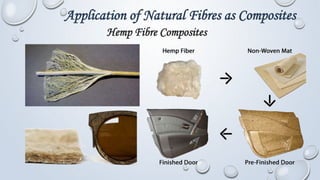 Natural fibres composites | PPTX