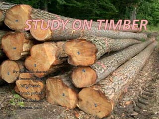 A Study on timber | TIMBER IN DETAIL | PPTX