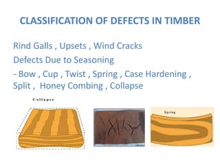A Study on timber | TIMBER IN DETAIL | PPTX