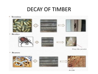 A Study on timber | TIMBER IN DETAIL | PPTX