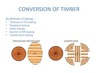 A Study on timber | TIMBER IN DETAIL | PPTX