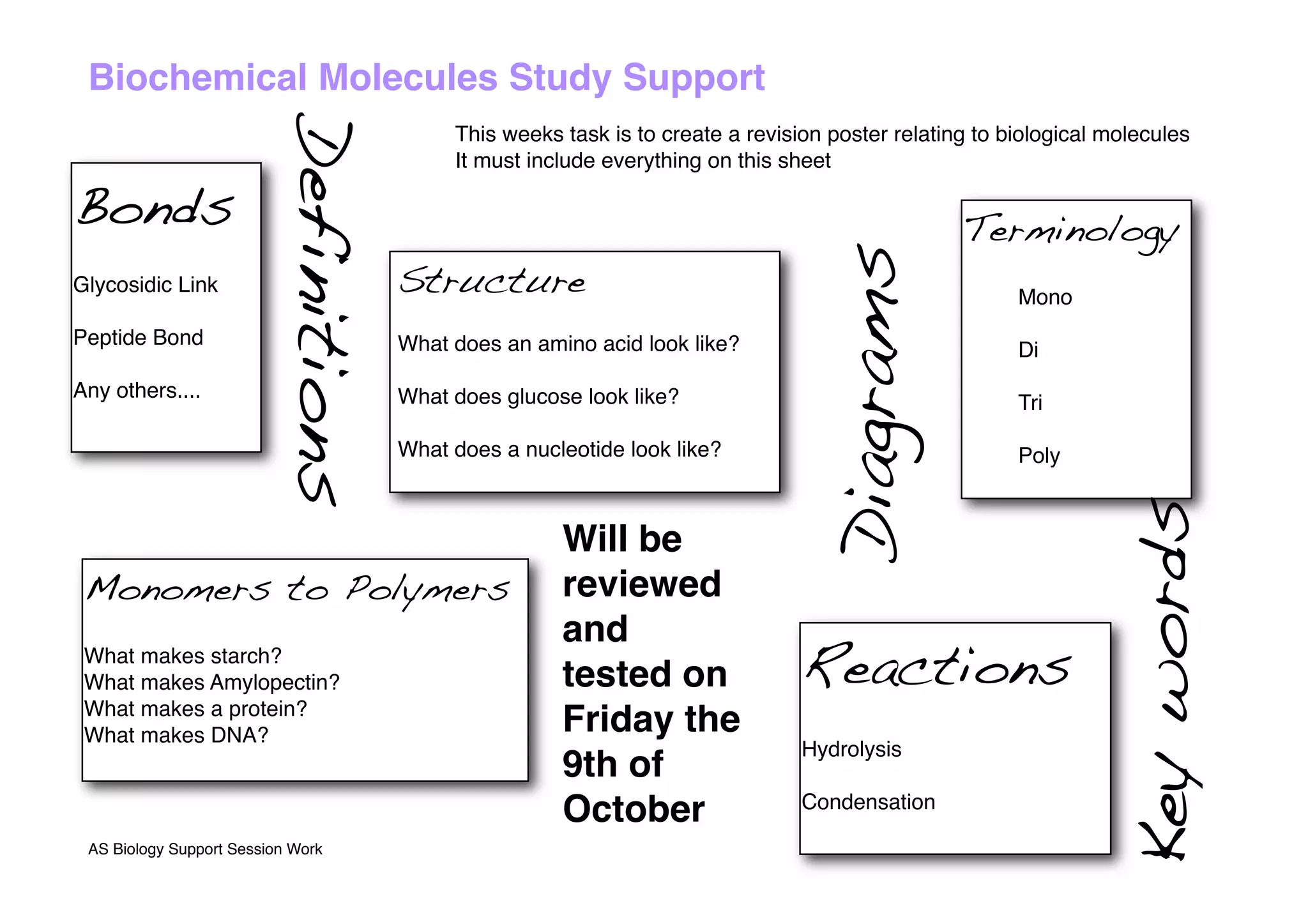 Study Support Biohemical Molecules | PDF