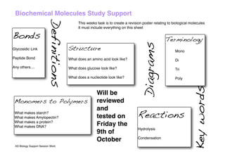 Study Support Biohemical Molecules | PDF | Chemistry | Science
