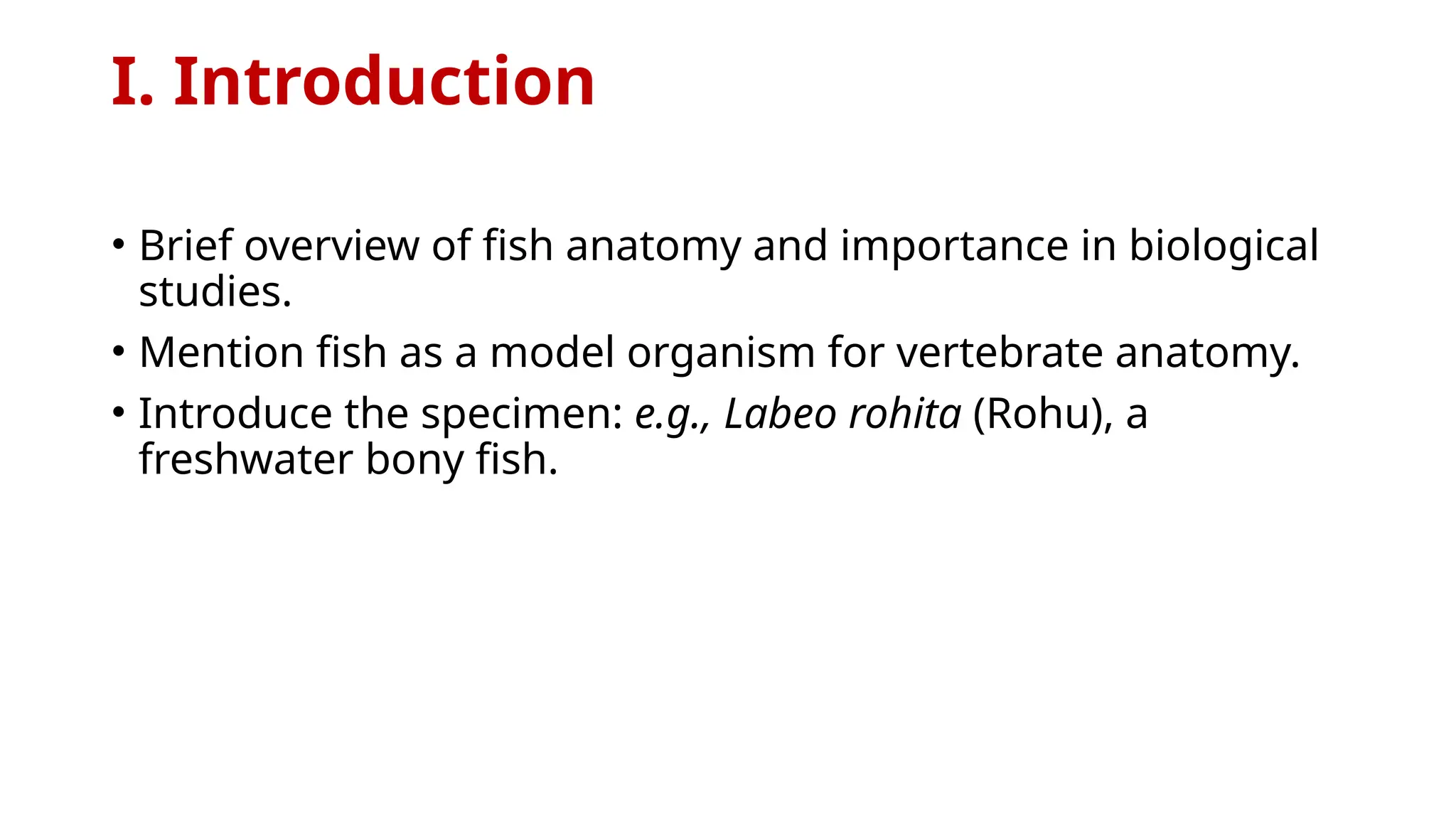 study the general anatomy of fish (alimentary canal, gills, gonads, etc ...