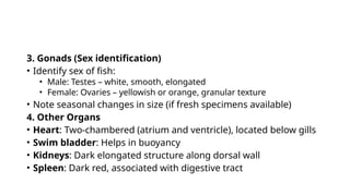 study the general anatomy of fish (alimentary canal, gills, gonads, etc ...