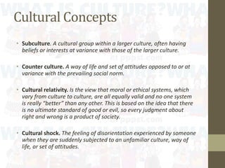 Study unit 3 culture | PPTX