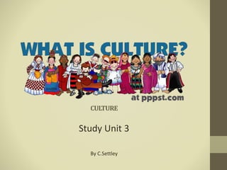 Study unit 3 culture | PPT