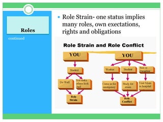 Social structure | PPT