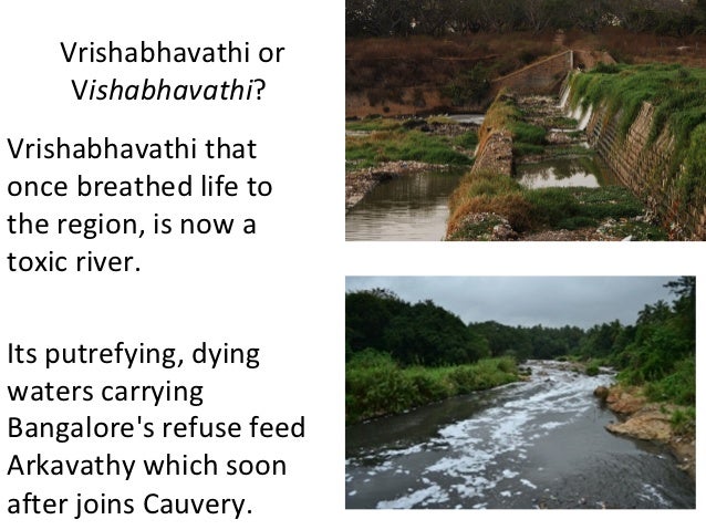 Vrishabhavathi River - Alchetron, The Free Social Encyclopedia