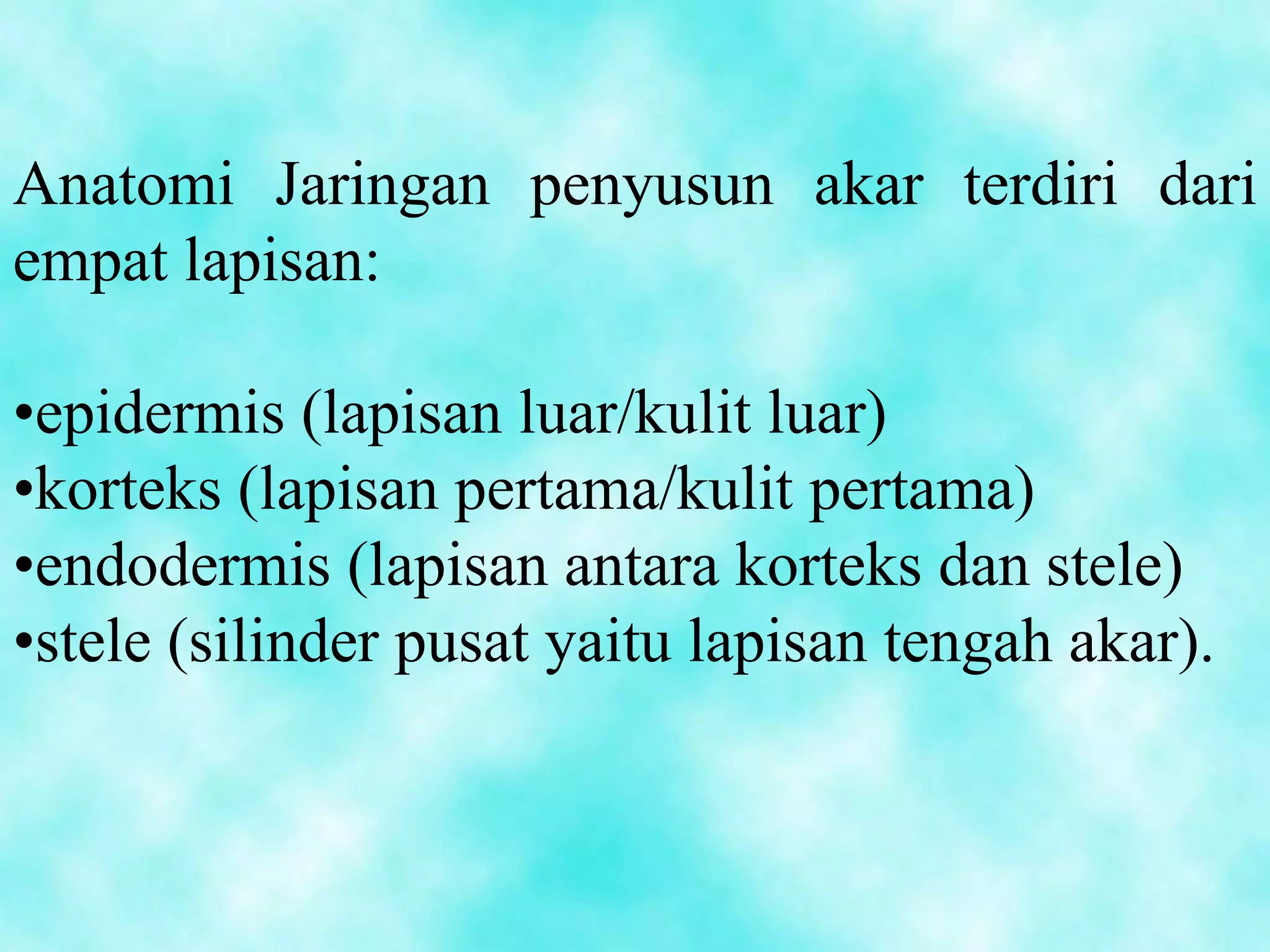 Stuktur Anatomi Akar | PPTX