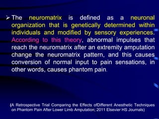 Amputation,Stump care, phantom limb pain and gait training in lower ...