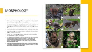 STUMP TAILED MACAQUE PRESENTATION.pdf