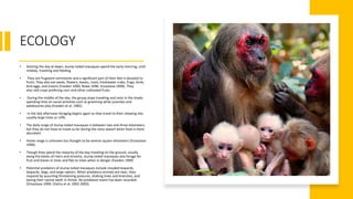 STUMP TAILED MACAQUE PRESENTATION.pdf