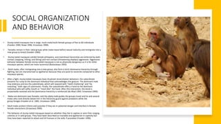 STUMP TAILED MACAQUE PRESENTATION.pdf