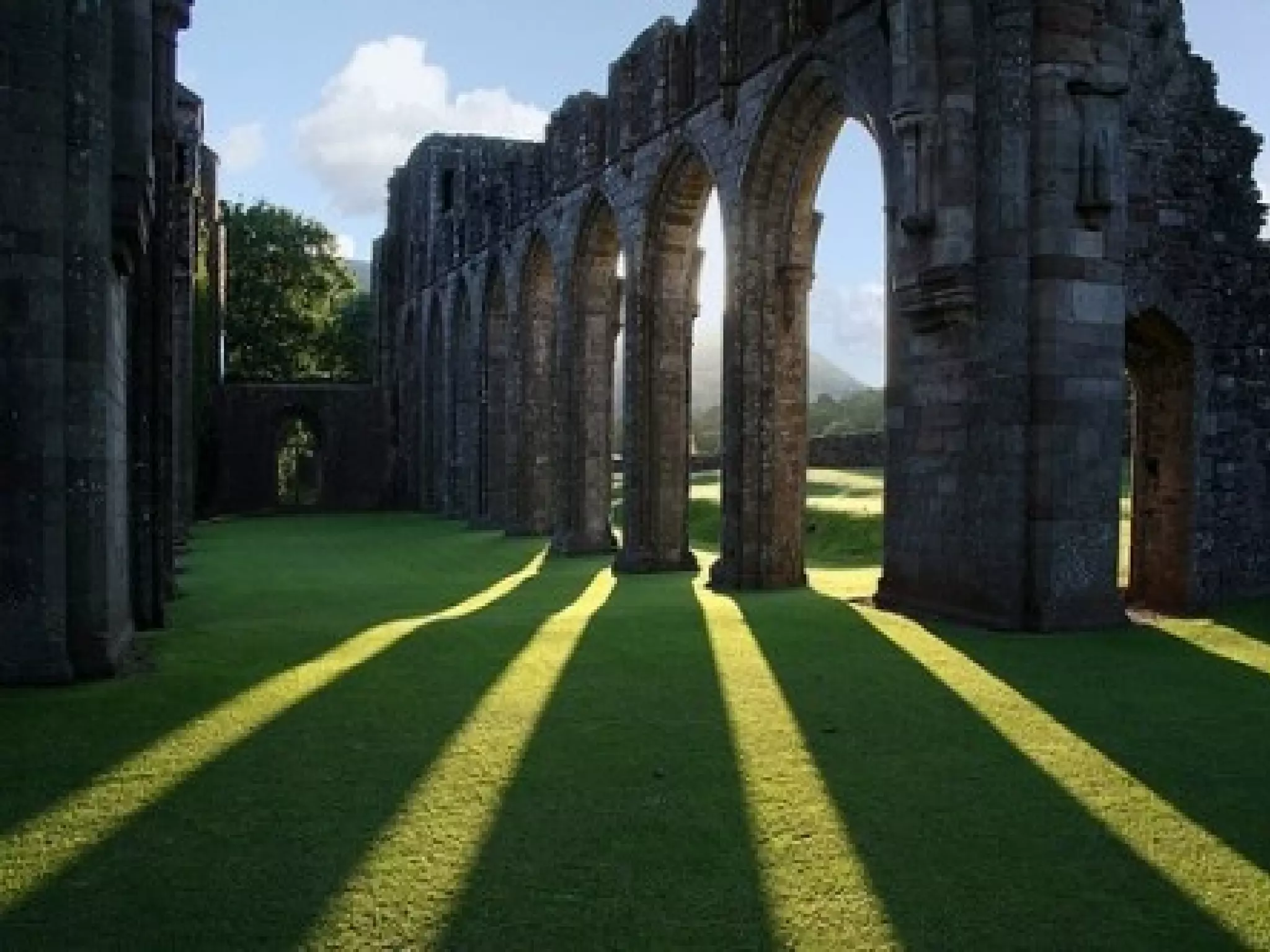 Stunning Examples Of Shadow Photography | PPS
