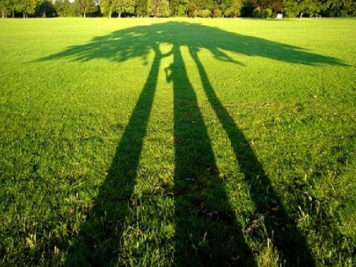 Stunning Examples Of Shadow Photography