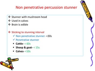 Process followed for the Stunning of animals. | PDF