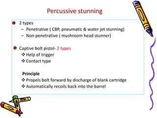 Process followed for the Stunning of animals. | PDF