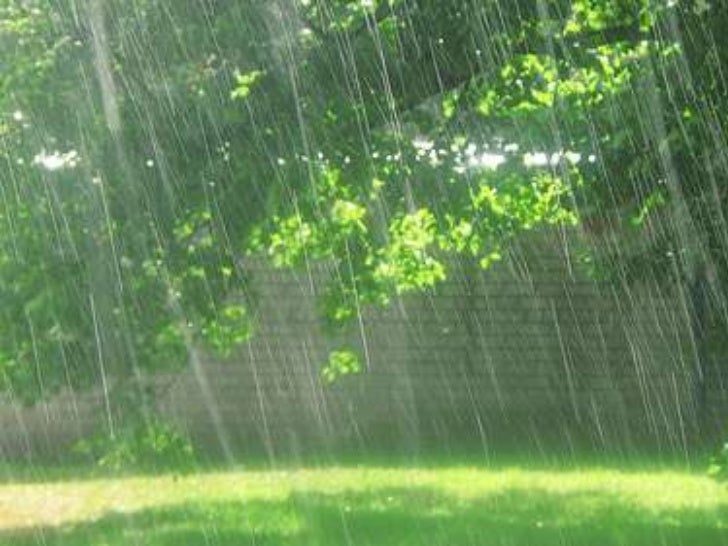 Stunning Rainy scenery