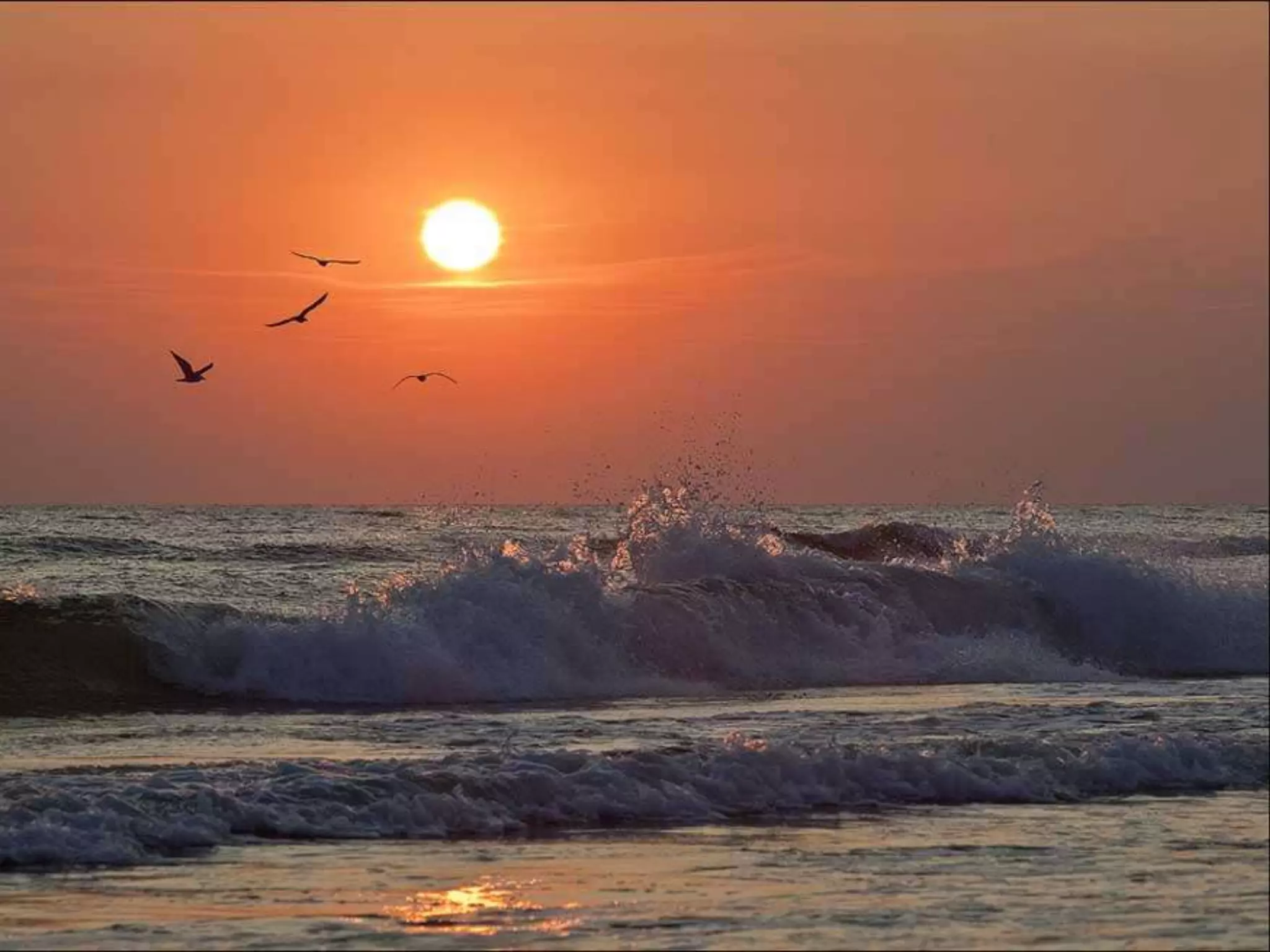 Stunning Sunset, Evening Details | PPSX