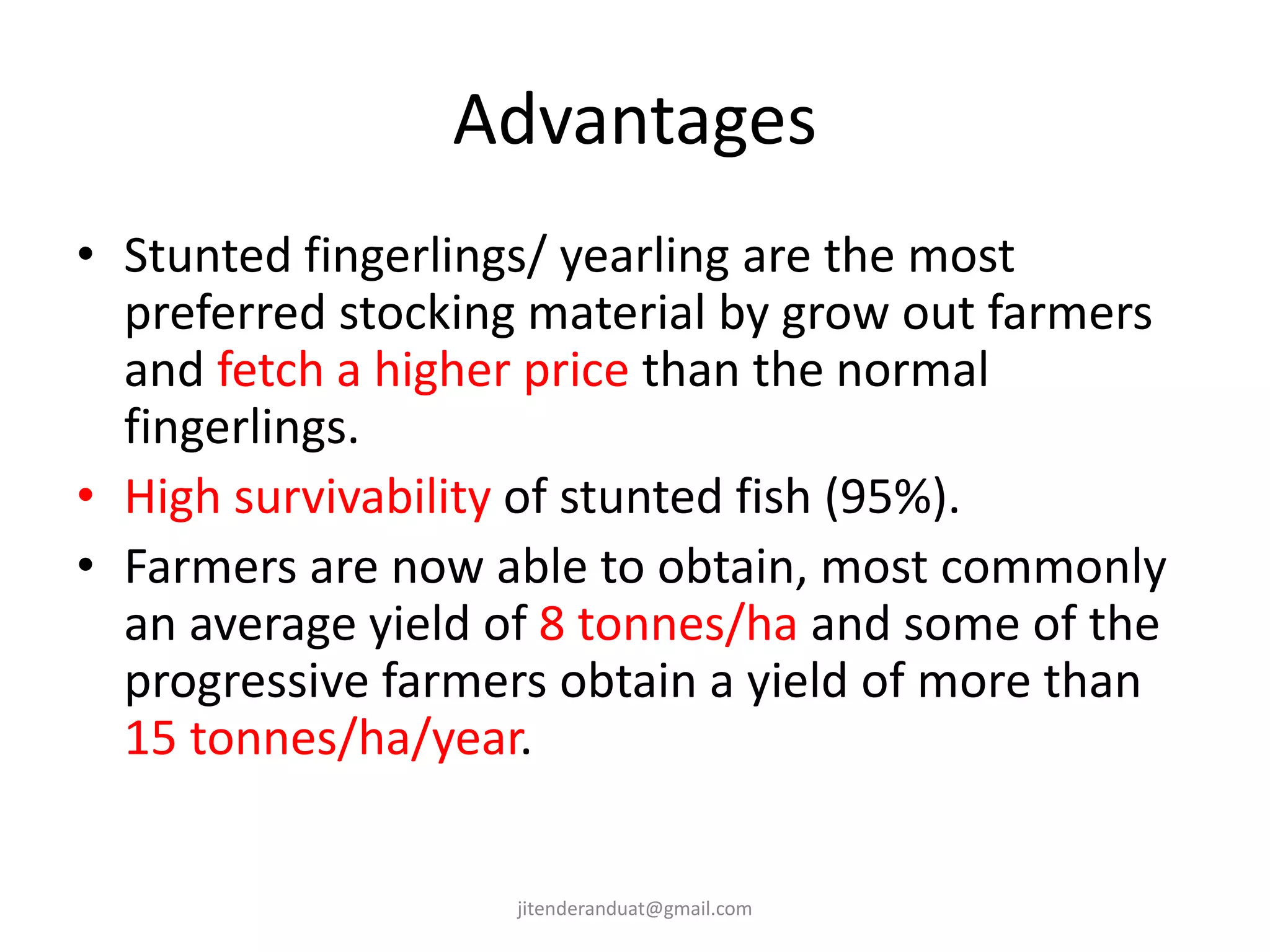 Stunted seed production & culture practices | PPTX