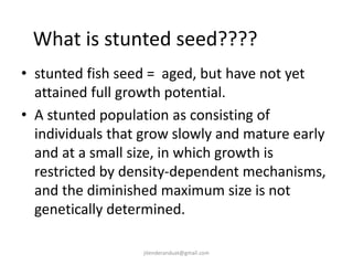 Stunted seed production & culture practices | PPTX