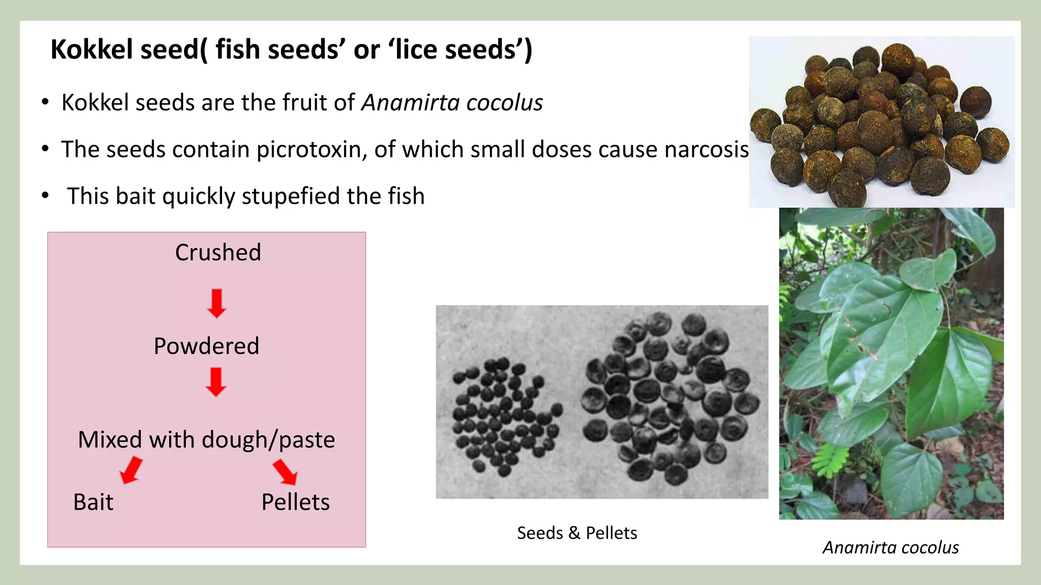 Stupefing fishing gear | PDF