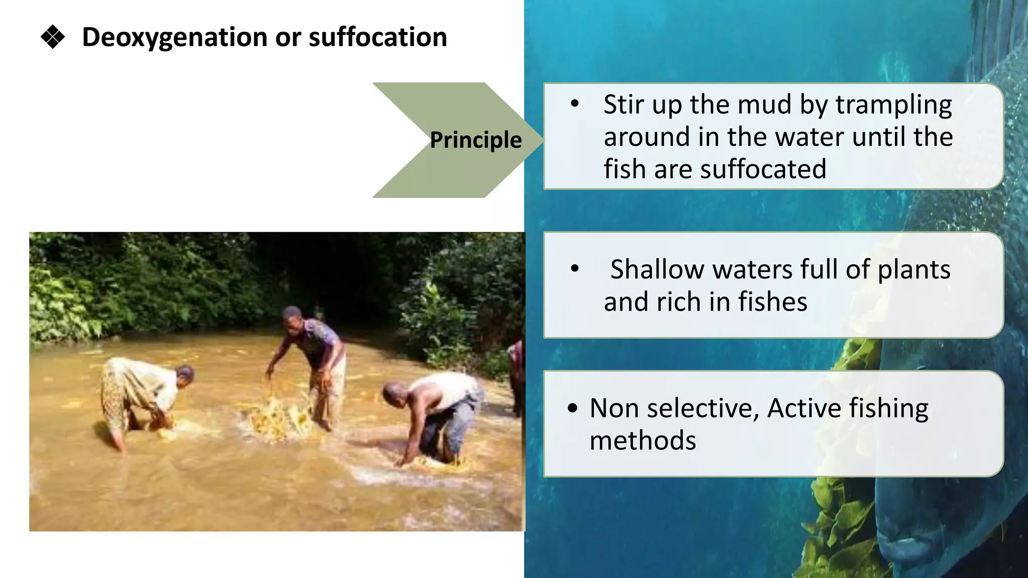 Stupefing fishing gear | PDF