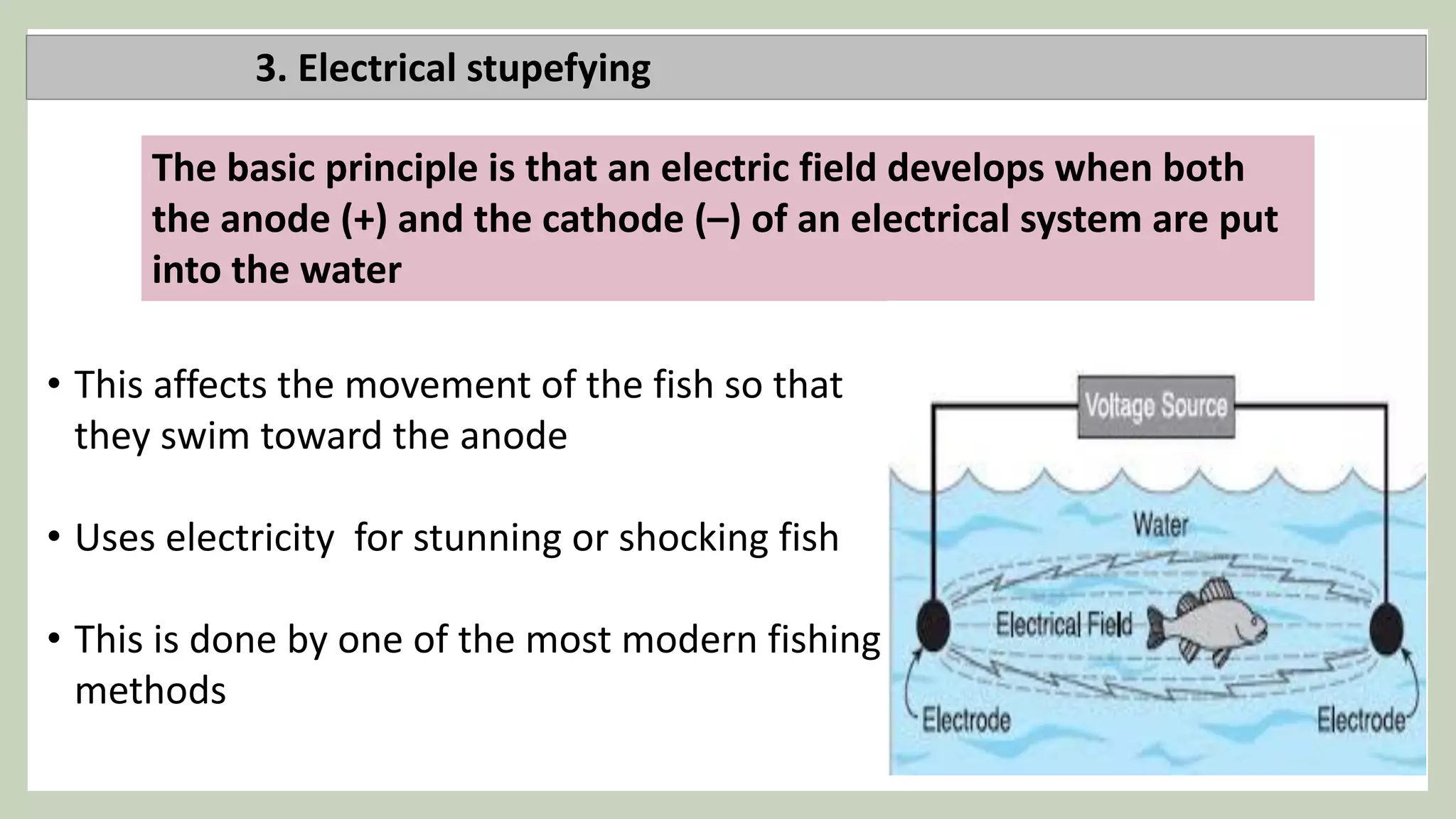 Stupefing fishing gear | PDF