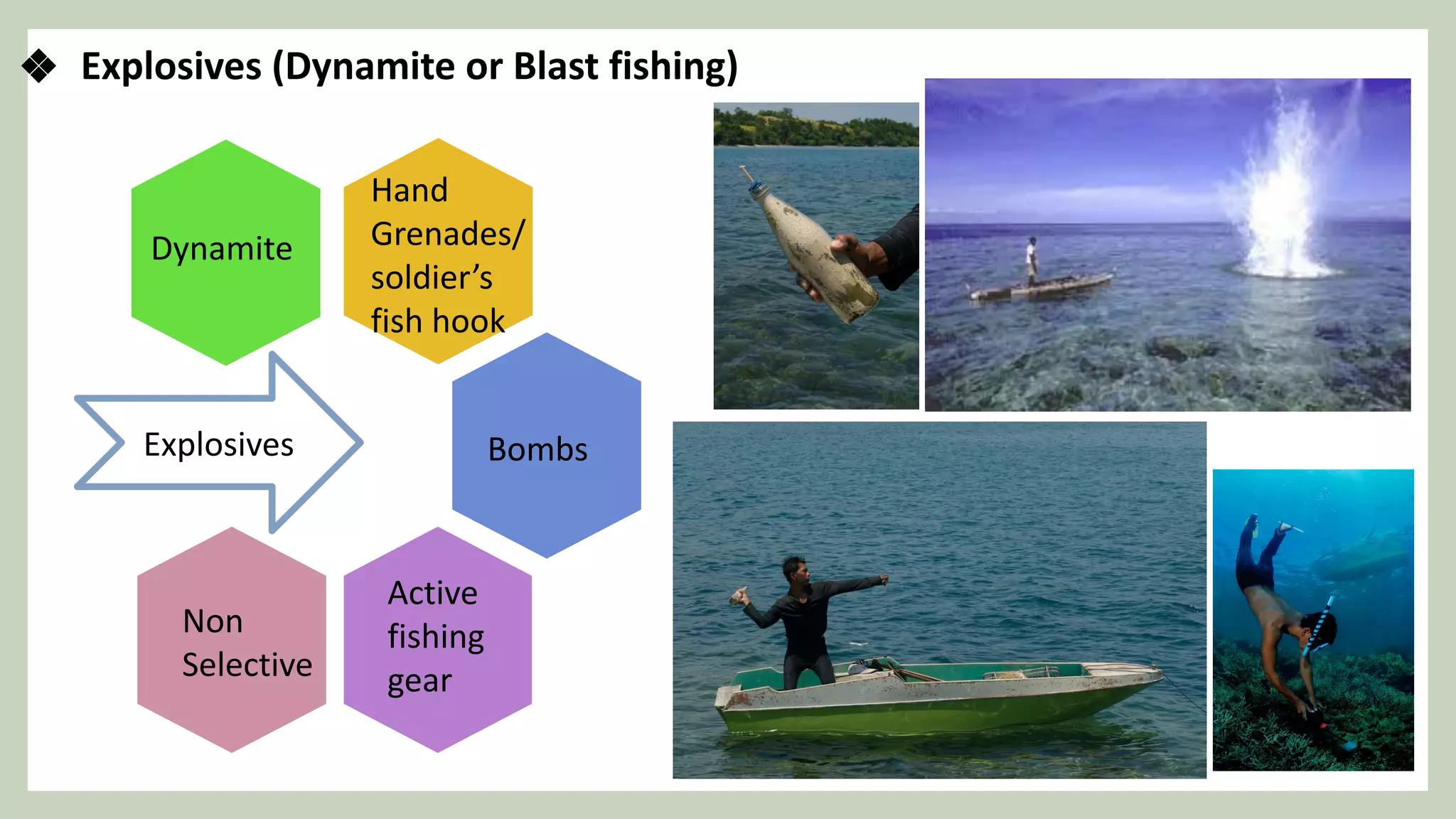 Stupefing fishing gear | PDF