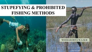 Stupefing fishing gear | PDF
