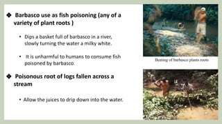 Stupefing fishing gear | PDF