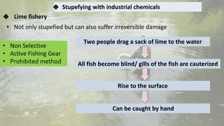 Stupefing fishing gear | PDF