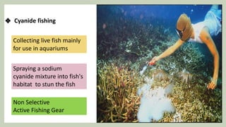 Stupefing fishing gear | PDF
