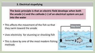 Stupefing fishing gear | PDF