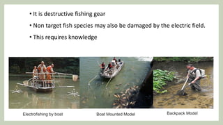 Stupefing fishing gear | PDF