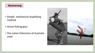 Stupefing fishing gear | PDF